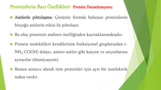 11. proteinler 4 | PPTX