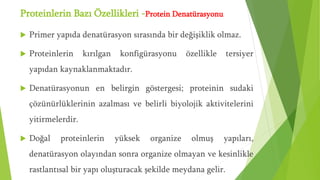 11. proteinler 4 | PPTX