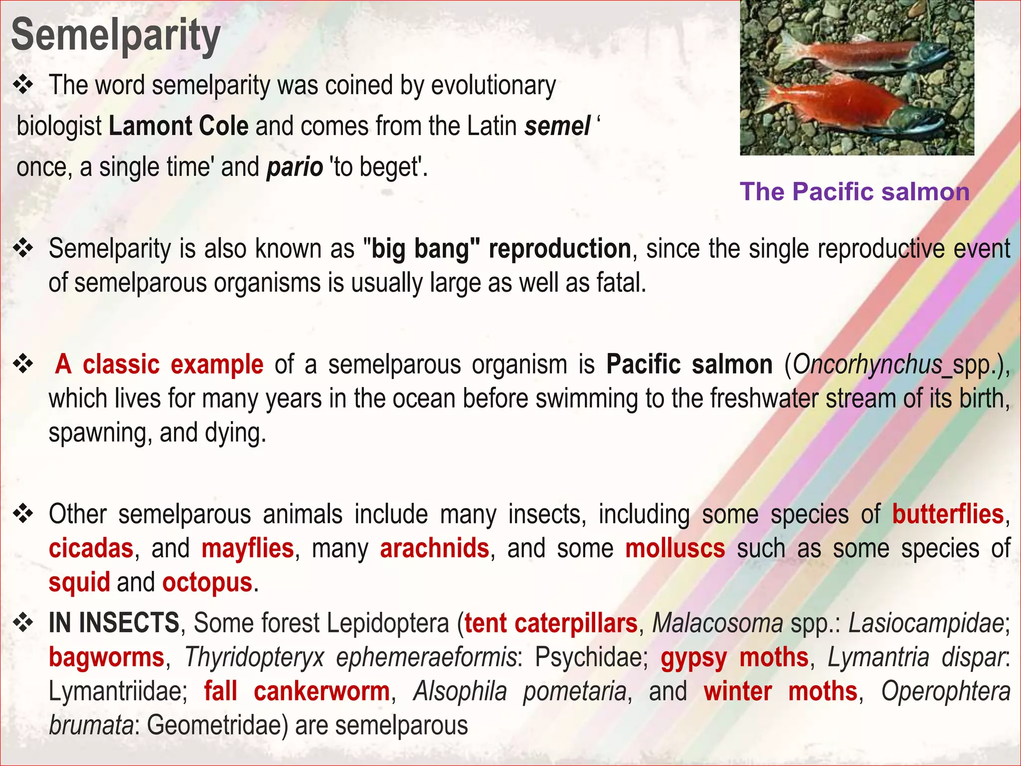 reproductive ecology (insects) | PPTX