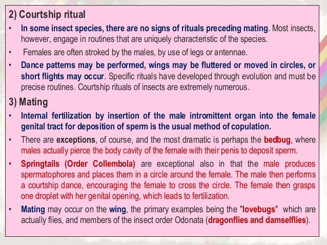 Reproductive Ecology Insects
