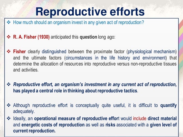 Reproductive Ecology Insects