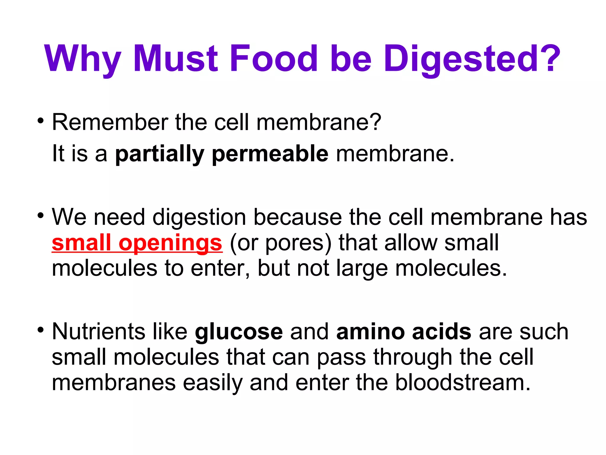 11. Human Digestive System - E-Learning | PPT