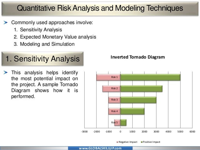 Online PMP Training Material for PMP Exam - Risk Management Knowledge…