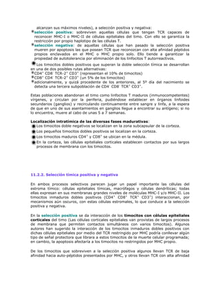11. maduración activa de linfocitos t | PDF