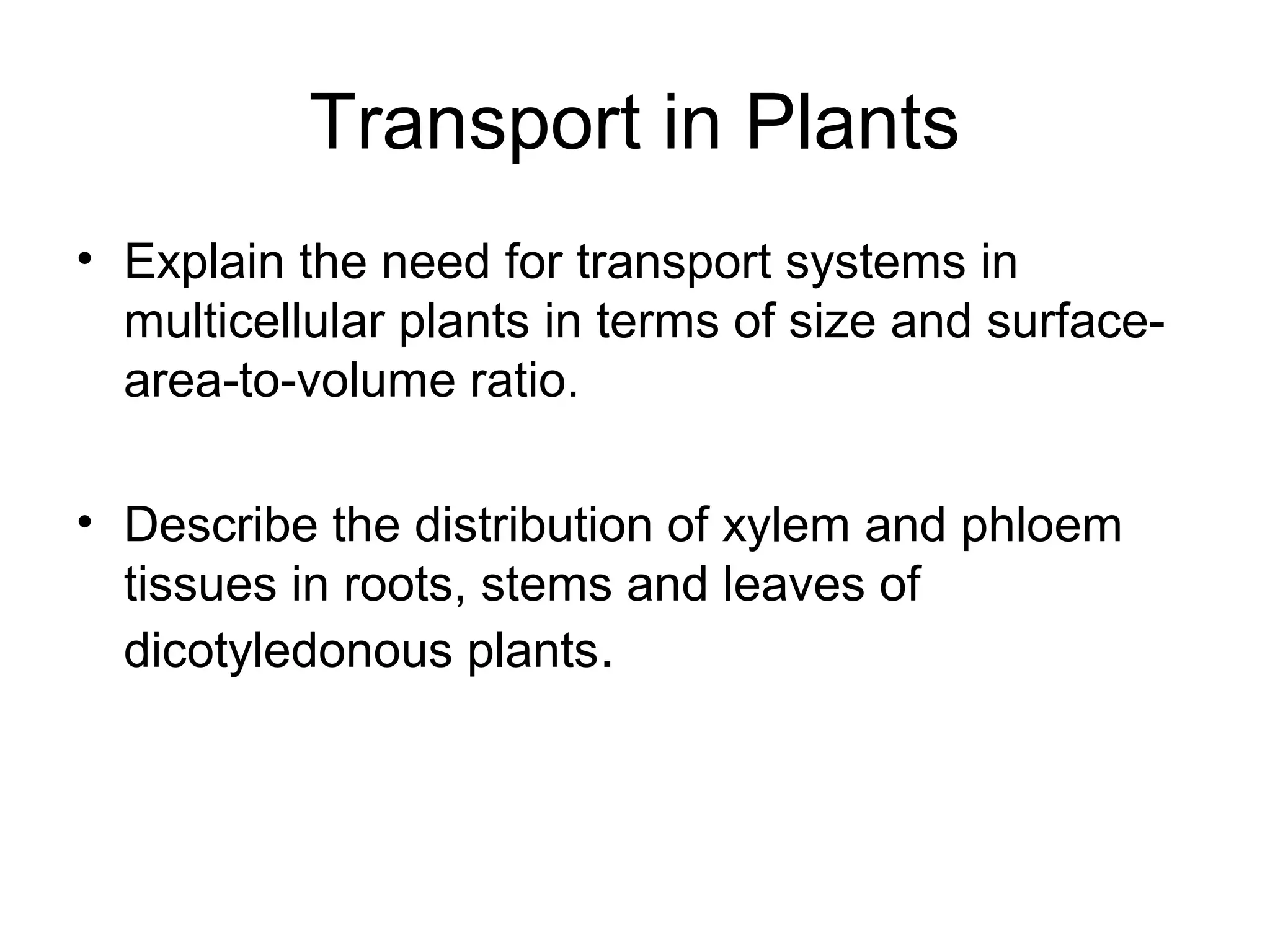 11. Transport in Plants | PPT