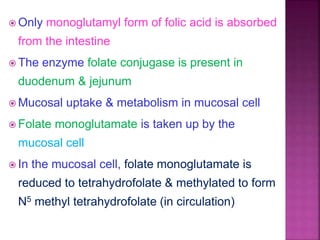 FOLIC ACID (B9) | PPTX | Digestive Disorders | Diseases and Conditions