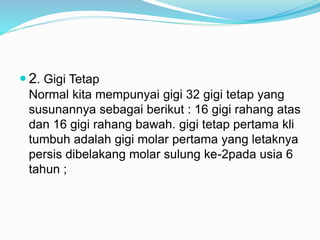 11. anatomi gigi | PPTX