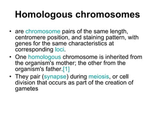 11.16 (dr. sadaf) meiosis + comparison with mitosis | PPT