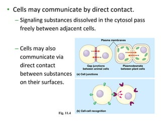 11.16 (dr. surriya sheikh) cell signalling 1 1 neurotransmitter | PPT