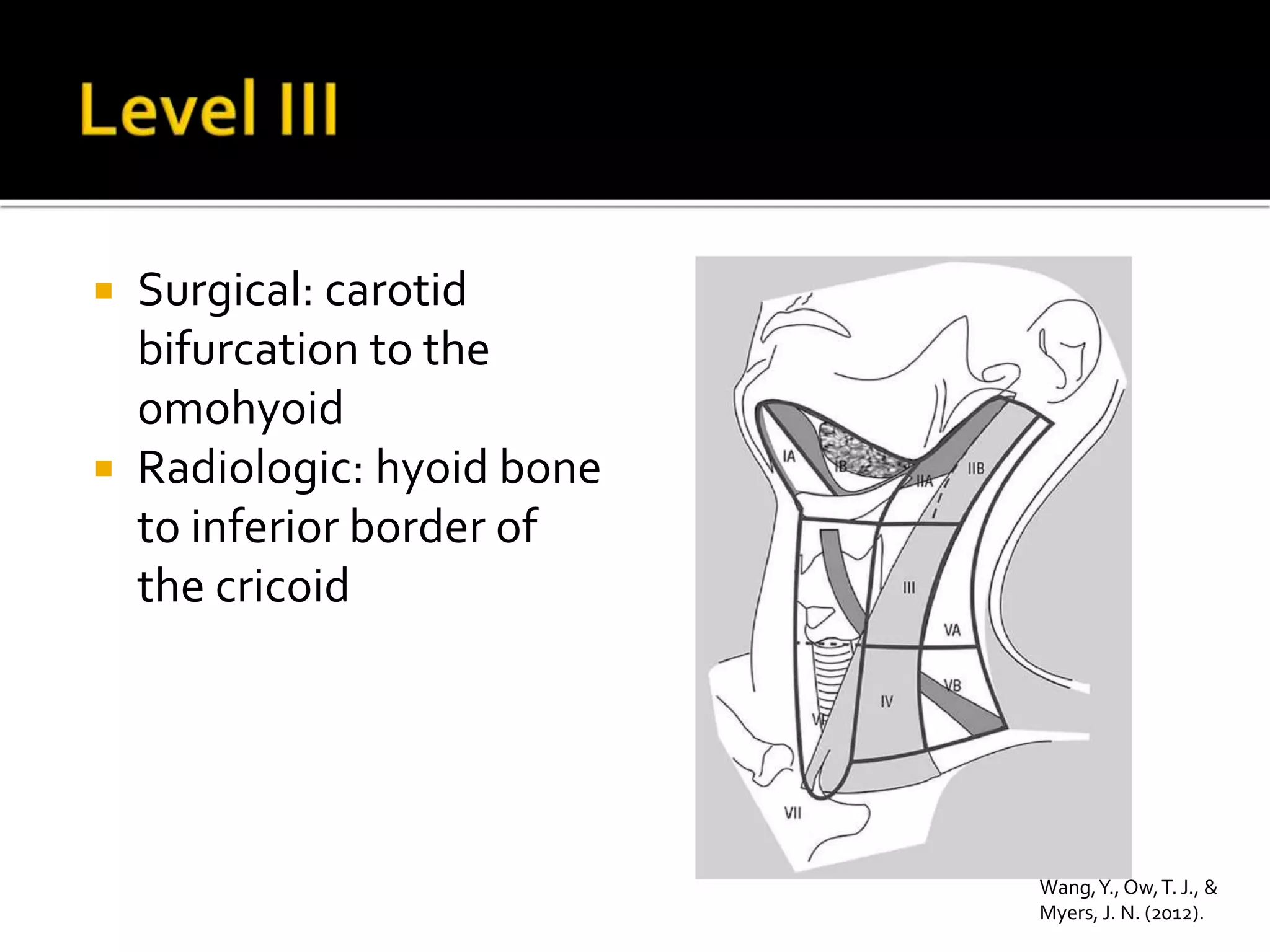 Navigating the Neck: Neck Anatomy Landmarks and Dangerpoints | PPTX