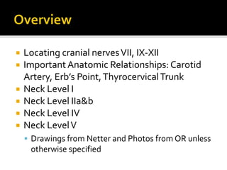 Navigating the Neck: Neck Anatomy Landmarks and Dangerpoints | PPTX
