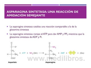 Metabolismo De Proteinas Pdf