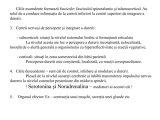 11. farmacoterapia durerii. analgezice opioide. analgezice antipirerice. antimigrenoase | PDF