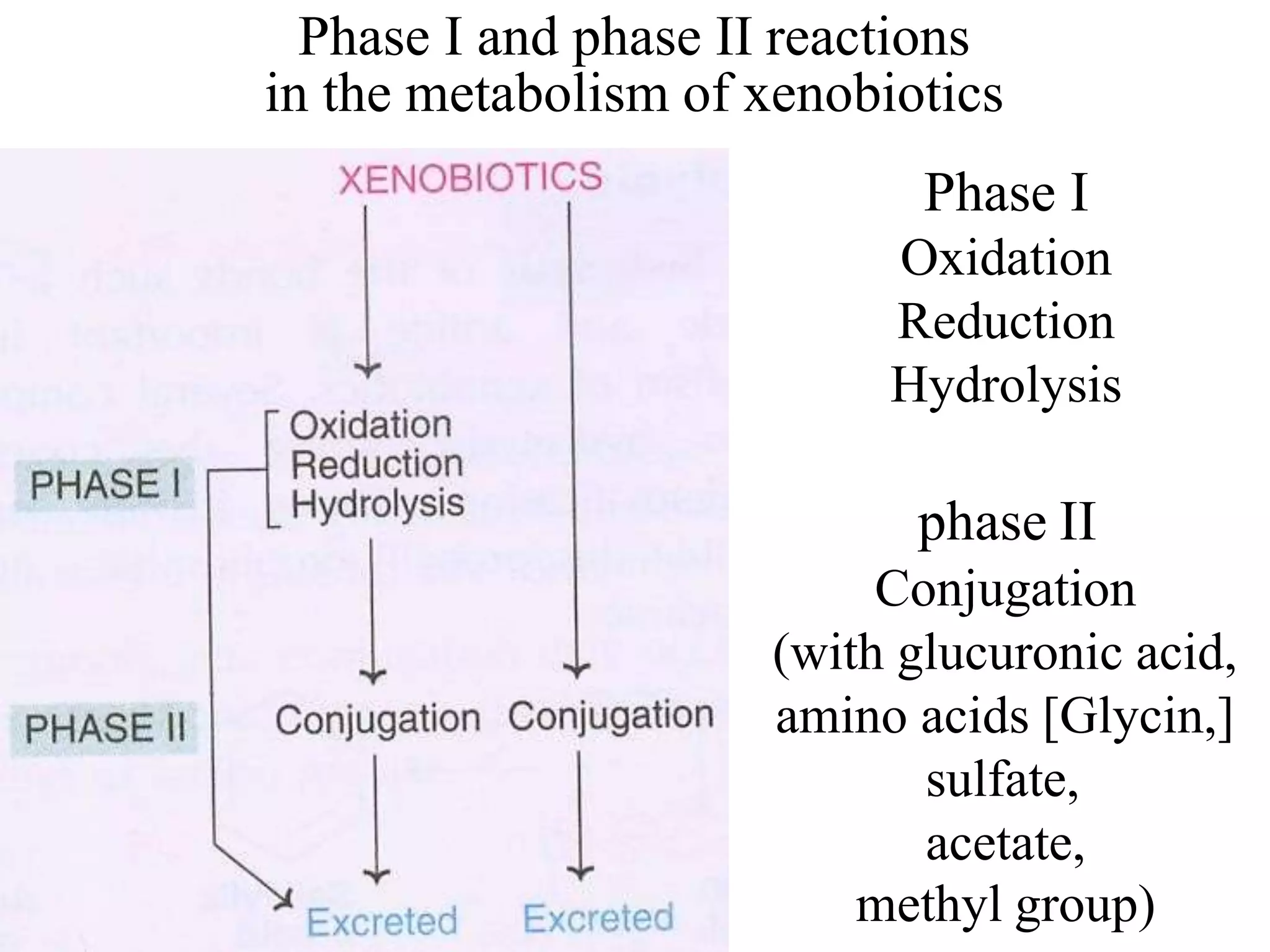 Detoxification, function determining tests & principles of Homeostasis ...