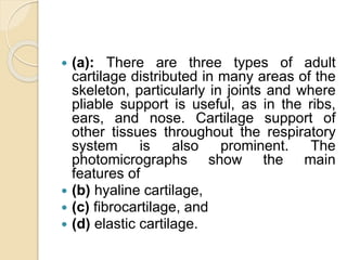 Histology of Cartilage | PPTX