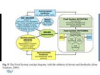 Identifying systems and managing multiple entry points | PPT