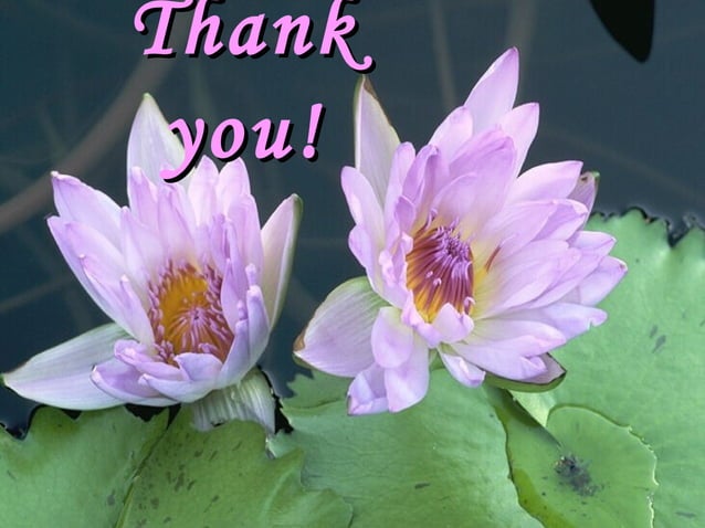 Social insurance & Social security. Medical insurance | PPT