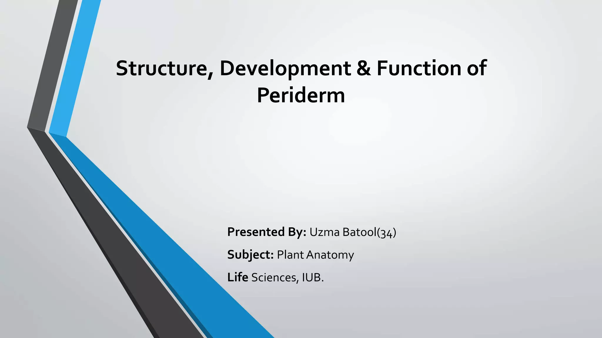 Structure, Development & Function of Periderm | PPTX