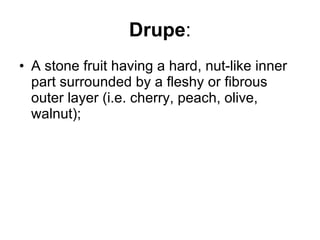 11 17 Peaches Drupes | PPT