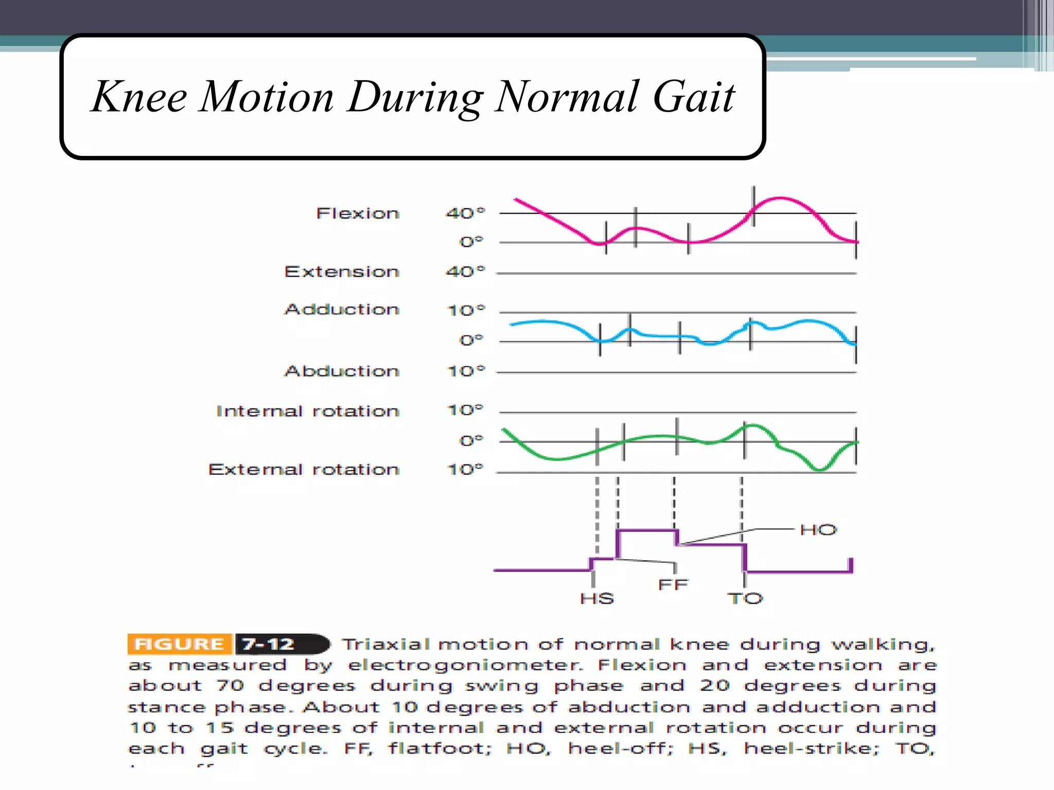 Biomechanic of Knee | PPTX
