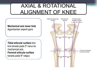 Biomechanic of Knee | PPTX