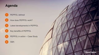 Webinar: PEPPOL Network for e-Invoicing: Everything You Need to Know | PPTX