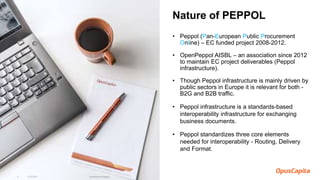 Webinar: PEPPOL Network for e-Invoicing: Everything You Need to Know | PPTX