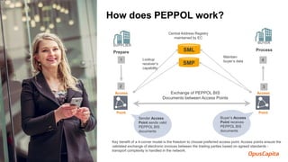 Webinar: PEPPOL Network for e-Invoicing: Everything You Need to Know | PPTX