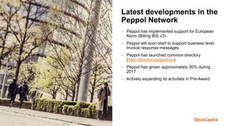 Webinar: PEPPOL Network for e-Invoicing: Everything You Need to Know | PPTX