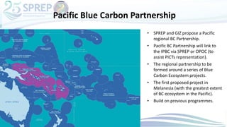 Blue carbon in the Pacific: Background and opportunities | PDF
