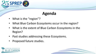 Blue carbon in the Pacific: Background and opportunities | PDF