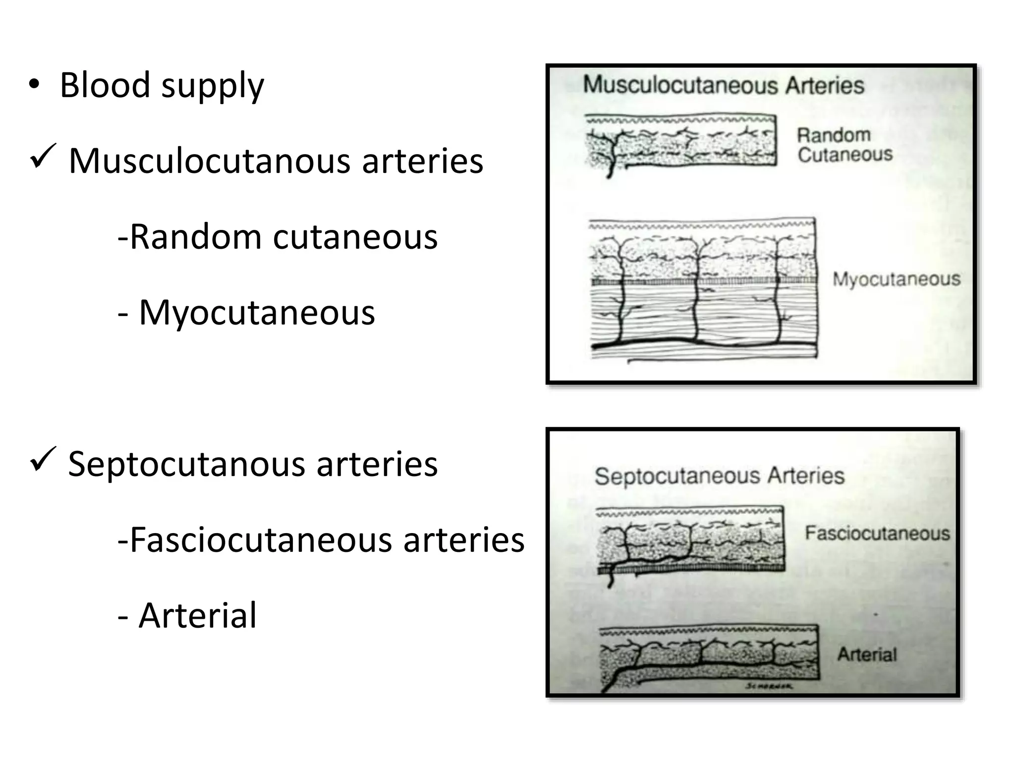 local reconstruction flaps in maxillofacial surgery | PPTX