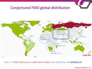Trans-pool movement of two serotype A lineages: A/ASIA/G-VII AND A/AFRICA/G-IV11.(K.Bankowska ...