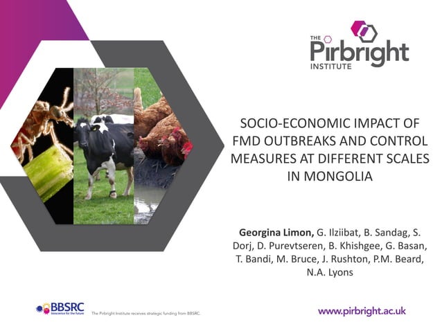 SOCIO-ECONOMIC IMPACT OF FMD OUTBREAKS AND CONTROL MEASURES AT DIFFERENT SCALES IN MONGOLIA (G ...
