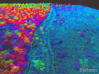 DSD-INT 2018 Realtime classification of lidar pointclouds - Pronk | PPT