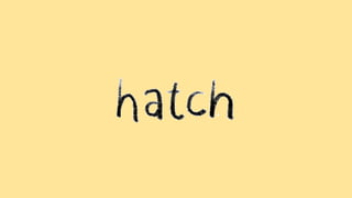 What's Hatching: 11.23