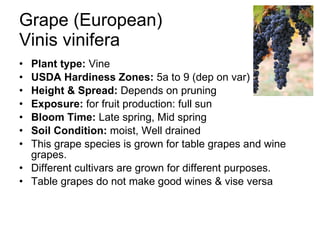 11 18 Viticulture | PPT