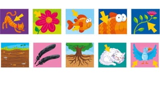 Multiple Choice about the quiz for kids.pptx