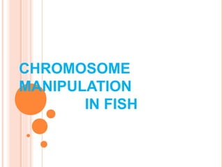Chromosome manipulation | PPT