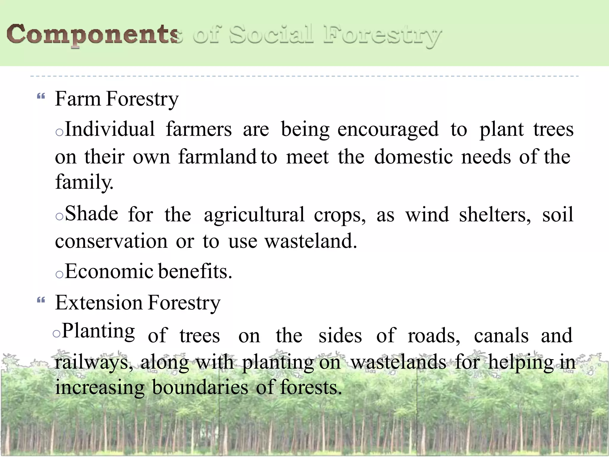 11.social forestry | PPTX
