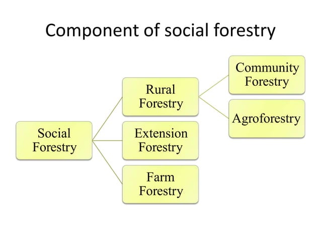 11.social forestry | PPTX