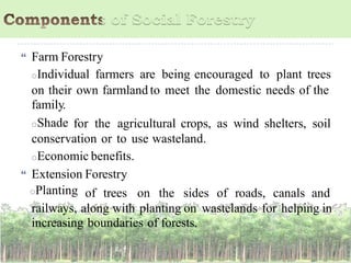 11.social forestry | PPTX