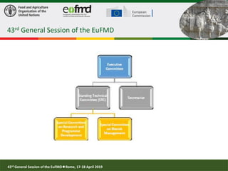 GS43_11. Report of the Standing Technical Committee and its working groups | PDF