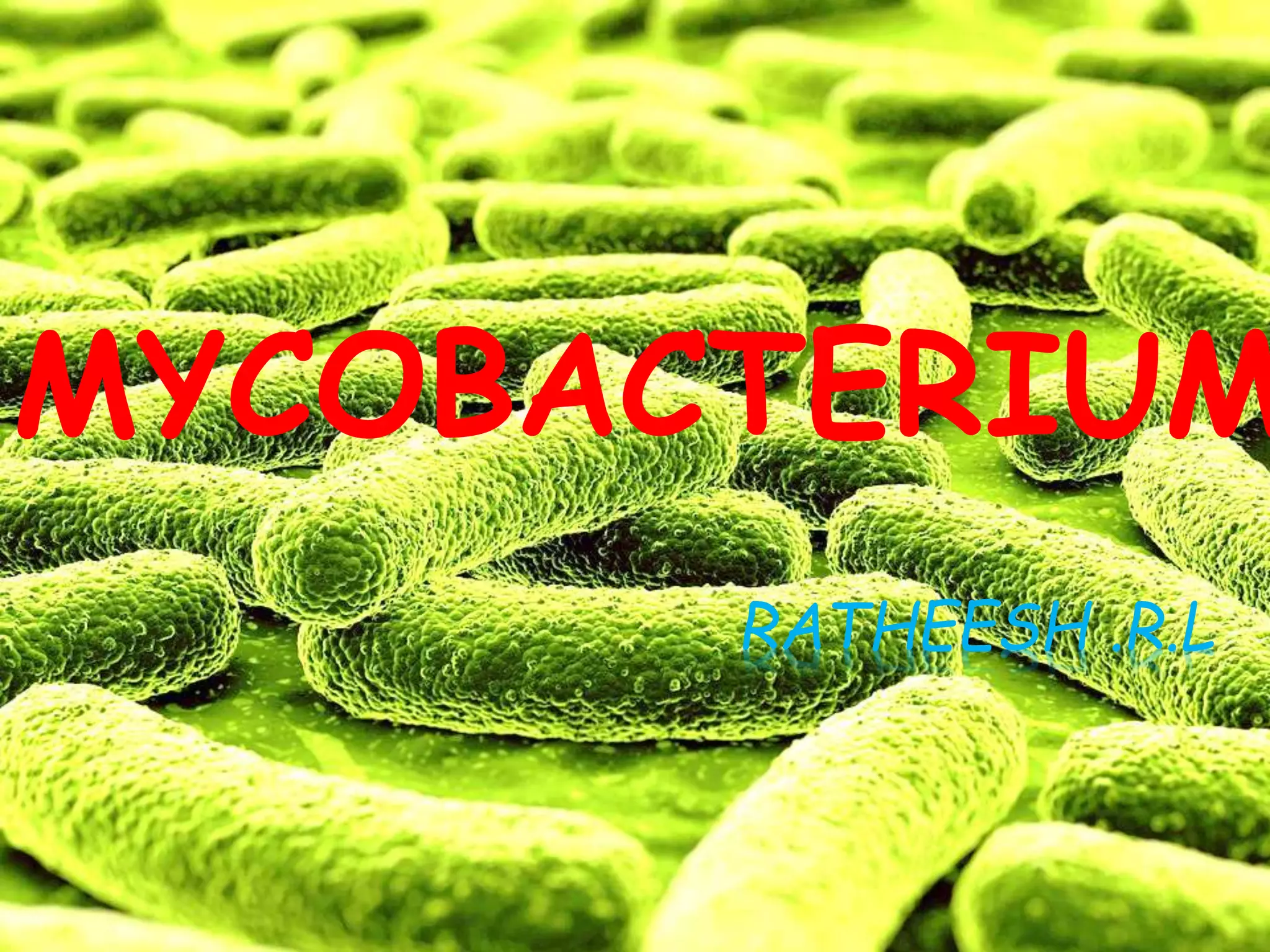 11. mycobacterium | PPTX