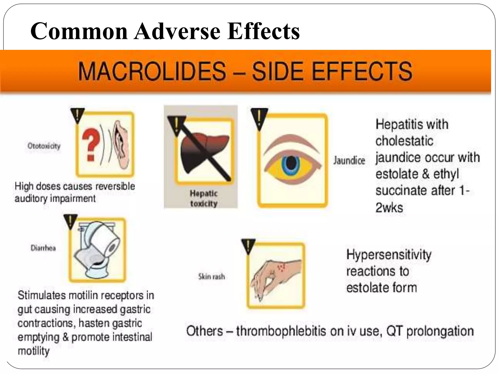Macrolides | PPTX