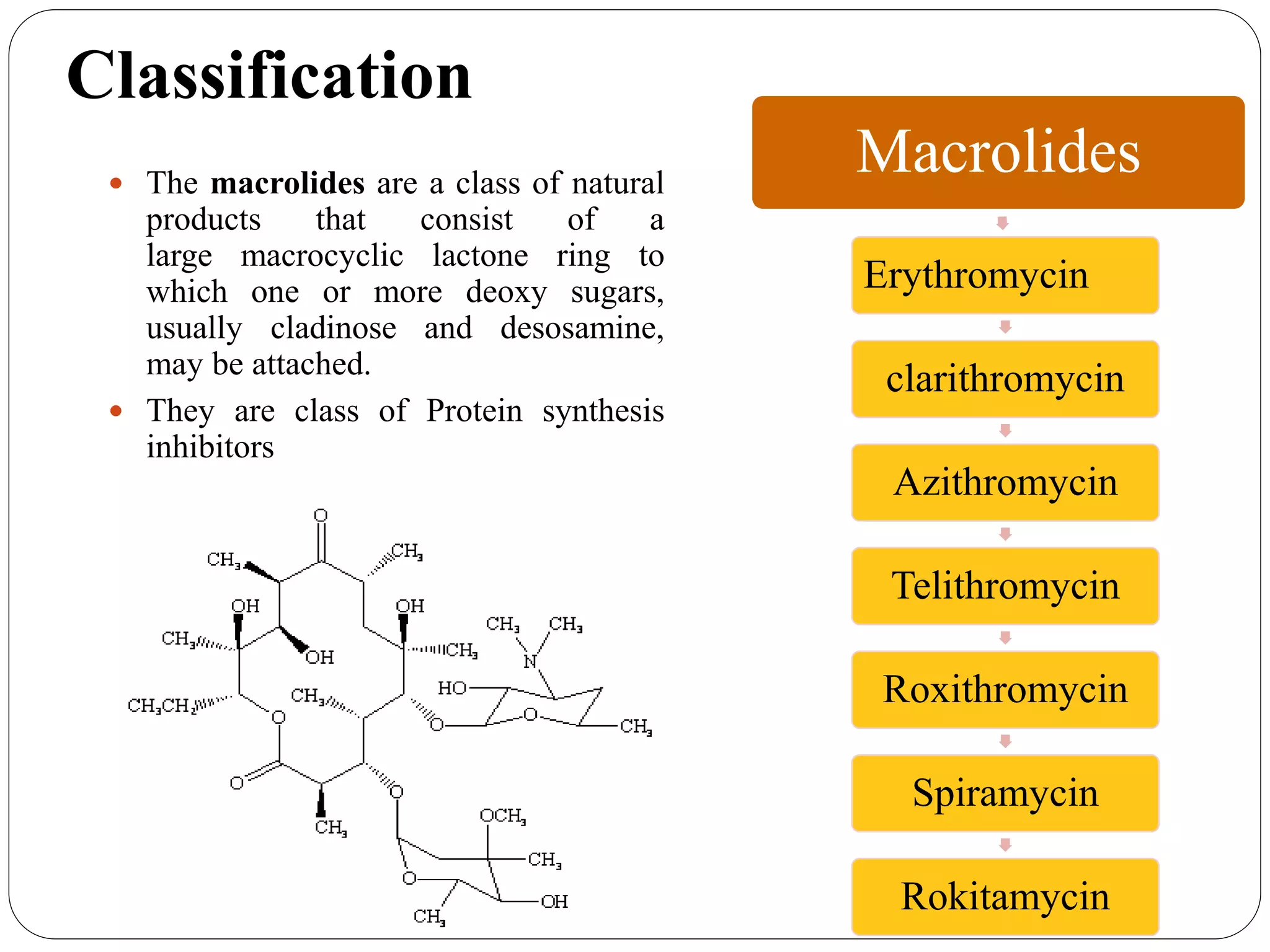 Macrolides | PPTX