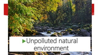 Human Rights, Dignity and the Common Good | PPTX