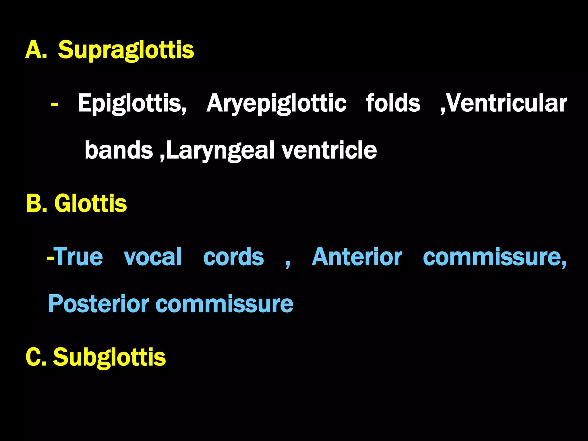 Anatomy and physiology of larynx | PPT