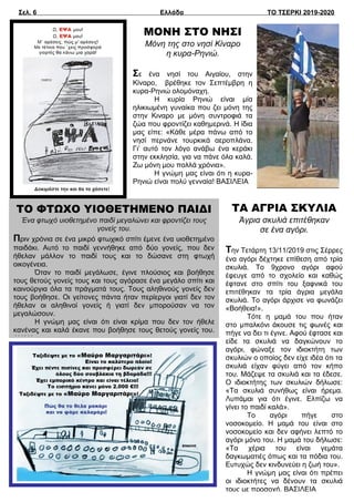 ΤΟ ΤΣΕΡΚΙ φύλλο1 | PDF