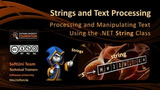 13 Strings and Text Processing | PPT